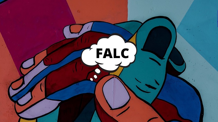 La méthode du Facile à Lire et à Comprendre ? - Écrire et Raconter